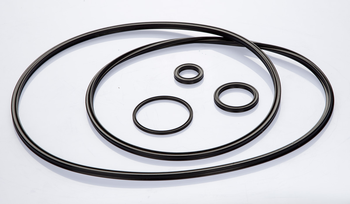 Seals in TMBV Applications - ISMAT