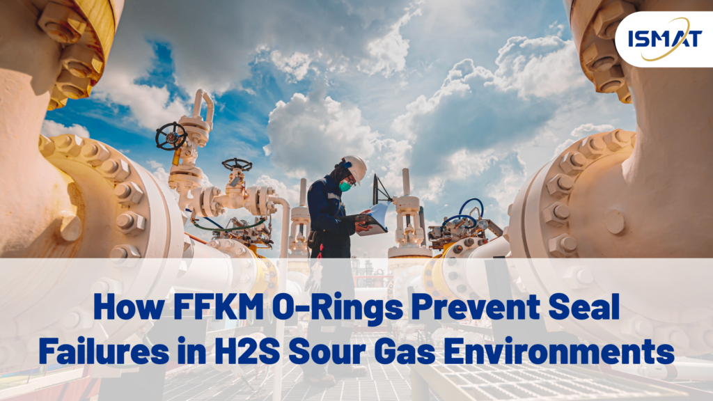 How FFKM O-Rings Prevent Seal Failures in H2S Sour Gas Environments